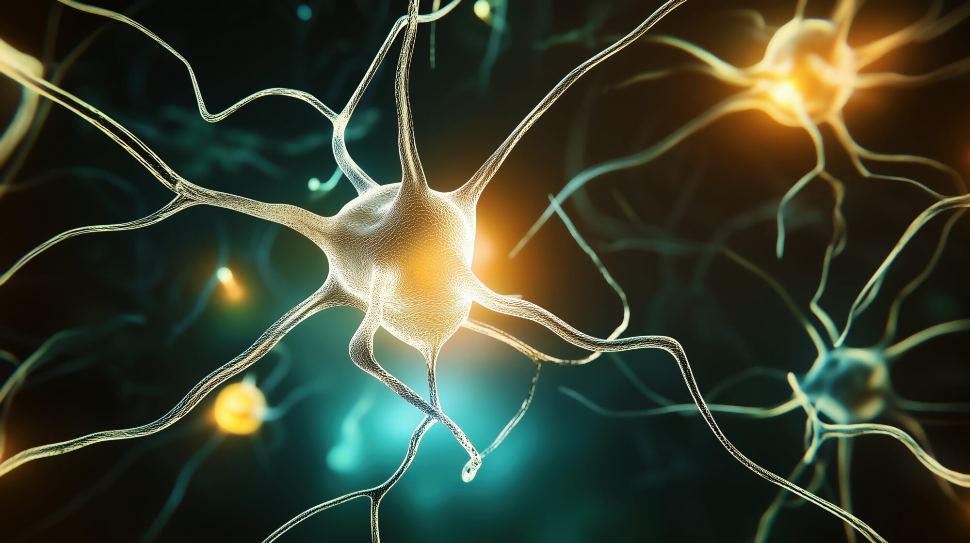 Welcome to Visualization Center C